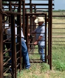 Home | T. Scott Hart, CPA